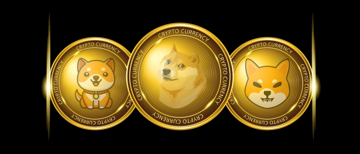 Meme Coins: A Beginner's Guide | Zionodes