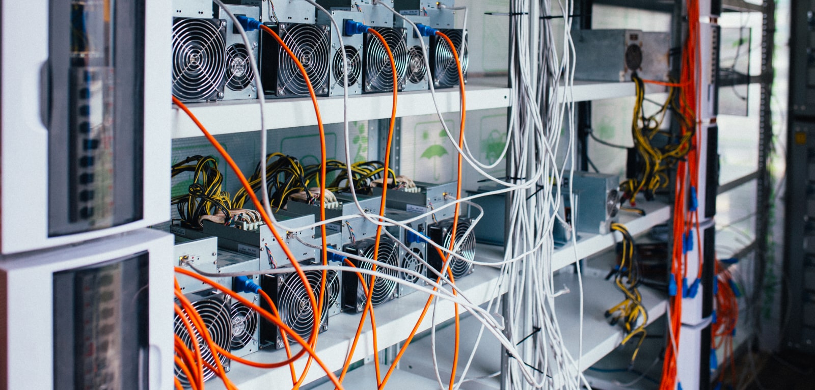 Exploring Cheetah Miners | Zionodes